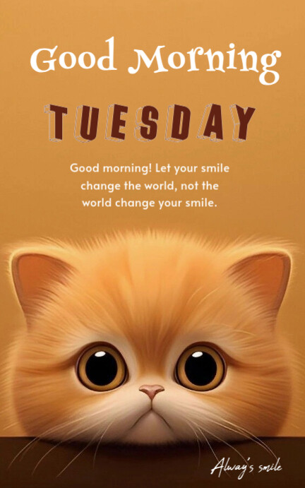 Orange Illustrative Good Morning Tuesday Kindle/book Covers Templat ...