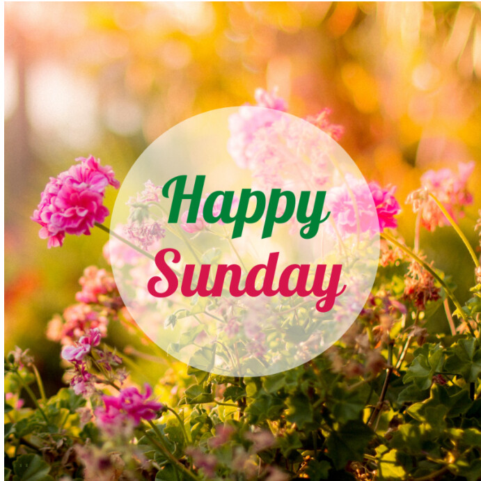 Copy of Orange Illustrative Happy Sunday Instagram Post | PosterMyWall