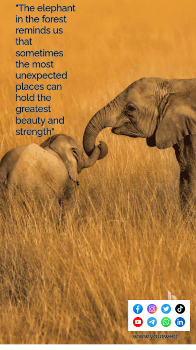 Elephant Life Quotes