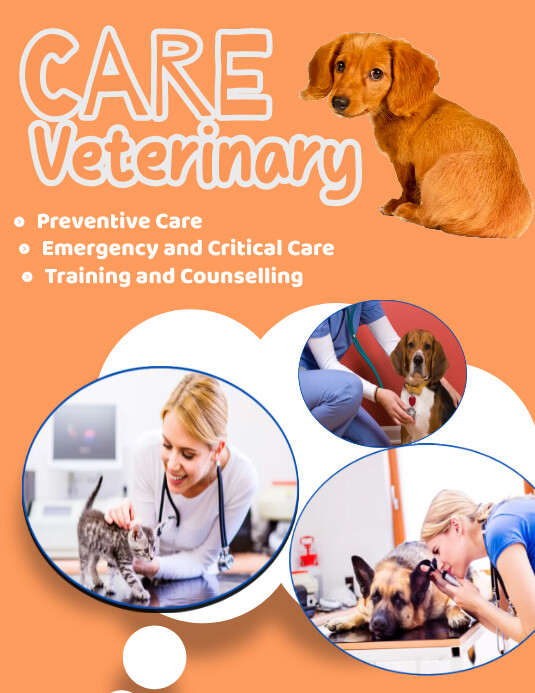 Orange Joyful Care Veterinary Flyer (us Lett Template | PosterMyWall