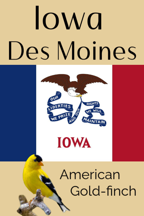 Orange Joyful Iowa State Educational Information Poster Template ...