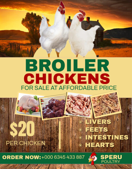 Orange Maximalist Broiler Chicken Poster/wallboard Template | PosterMyWall