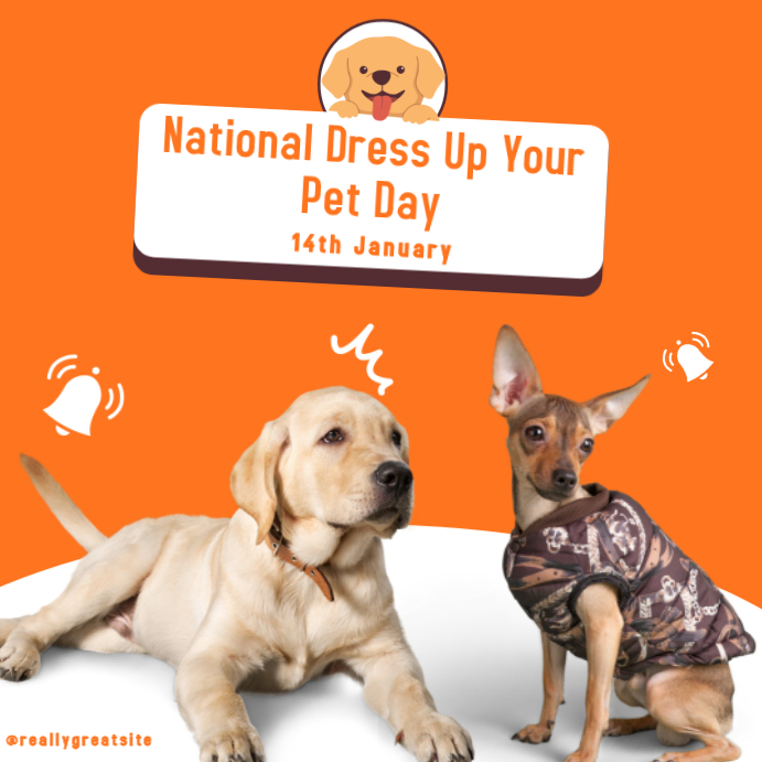 Orange Maximalist National Dress Up Your Pet Day Instagram Post ...