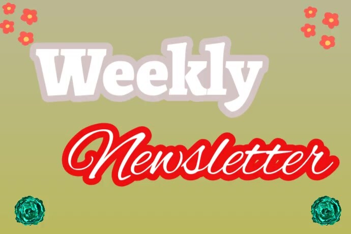 Orange Pastel Weekly Newsletter Poster Template | PosterMyWall