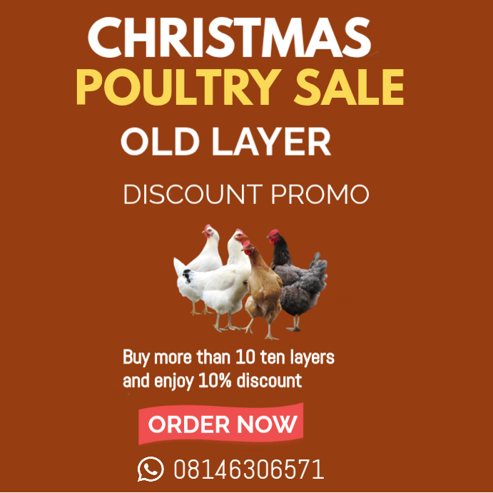 Orange Professional Christmas Chicken Sale Flyer Poultry Farm Old Layer ...