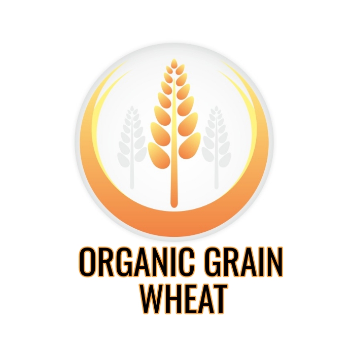 Organic grain wheat logo Template | PosterMyWall