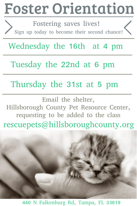 Orientation flyer Template | PosterMyWall