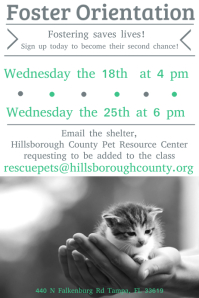 Orientation flyer Template | PosterMyWall