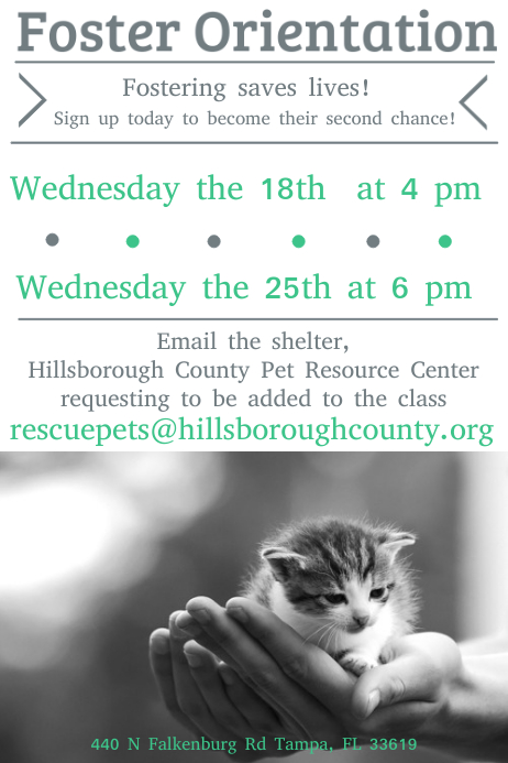 Orientation flyer Template | PosterMyWall