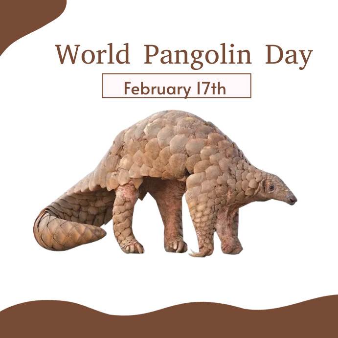 Pangolin Template | PosterMyWall