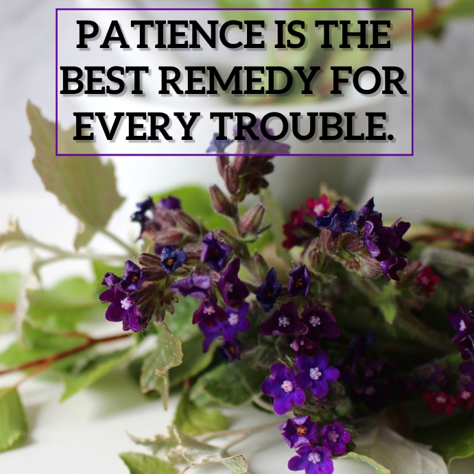 Copy of PATIENCE AND REMEDY QUOTE TEMPLATE | PosterMyWall