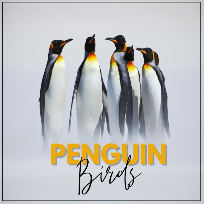 Penguins Birds Template | PosterMyWall