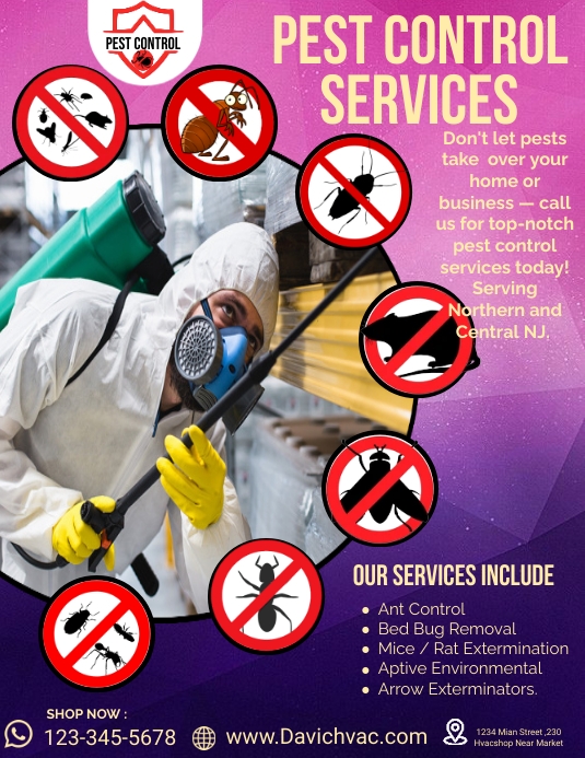 Pest Control Flyer, pest control services adv Template | PosterMyWall