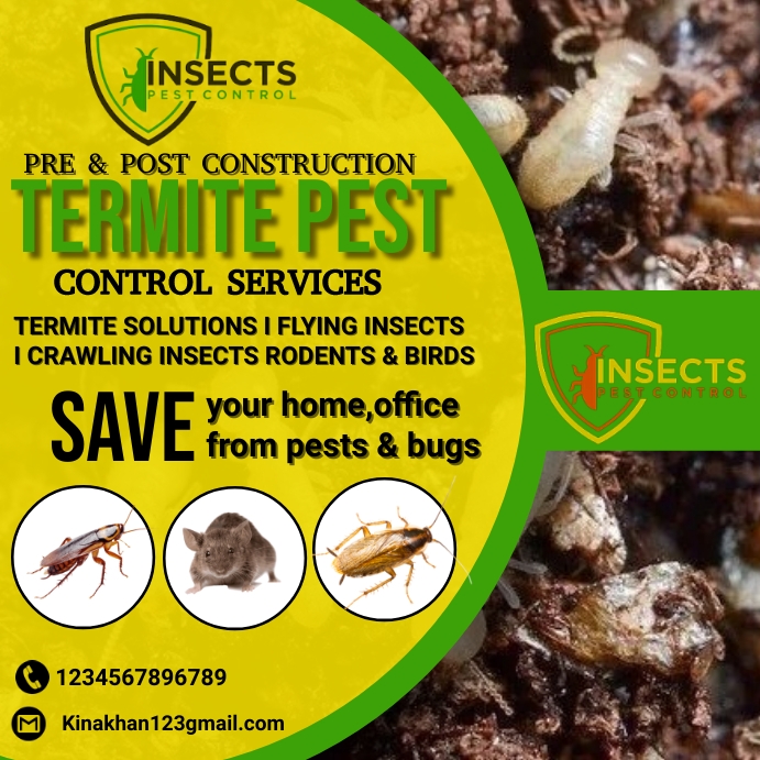 Copy of Pest Control Flyer, pest control services adv | PosterMyWall