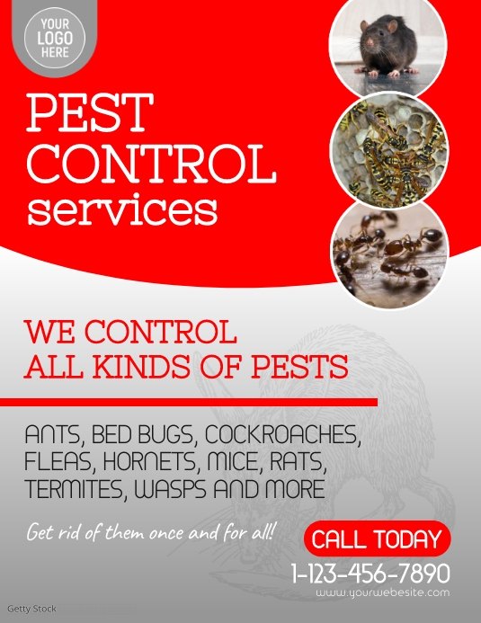 Pest Control Flyer Template | PosterMyWall