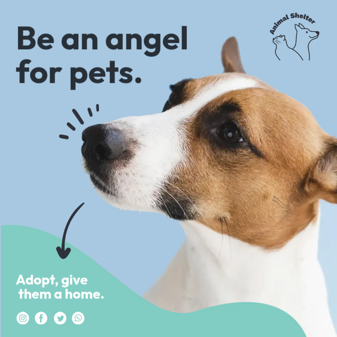 Pet Adoption Ad Template | PosterMyWall
