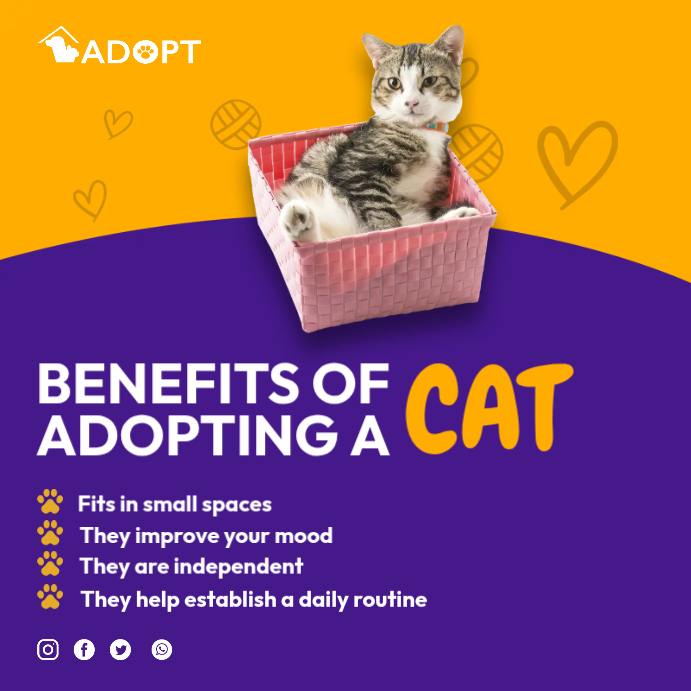 Pet Adoption Ad Template | PosterMyWall