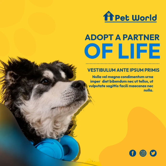 Copy of Pet Adoption Ads | PosterMyWall