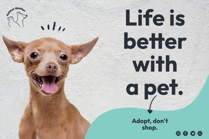 Copy of Pet Adoption Ads | PosterMyWall