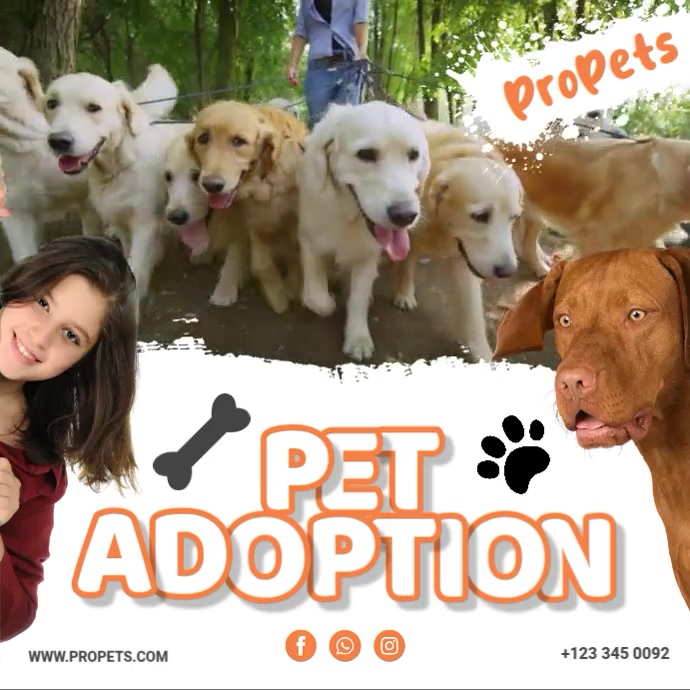 Pet Adoption Template | PosterMyWall