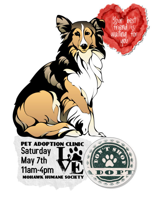 Pet adoption event Flyer Template | PosterMyWall