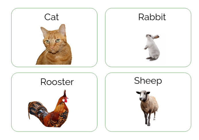 Pet Animals Flash Cards For Kids /Toddlers Template | PosterMyWall