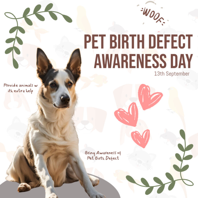 Pet Birth Defect Awareness Day Template | PosterMyWall
