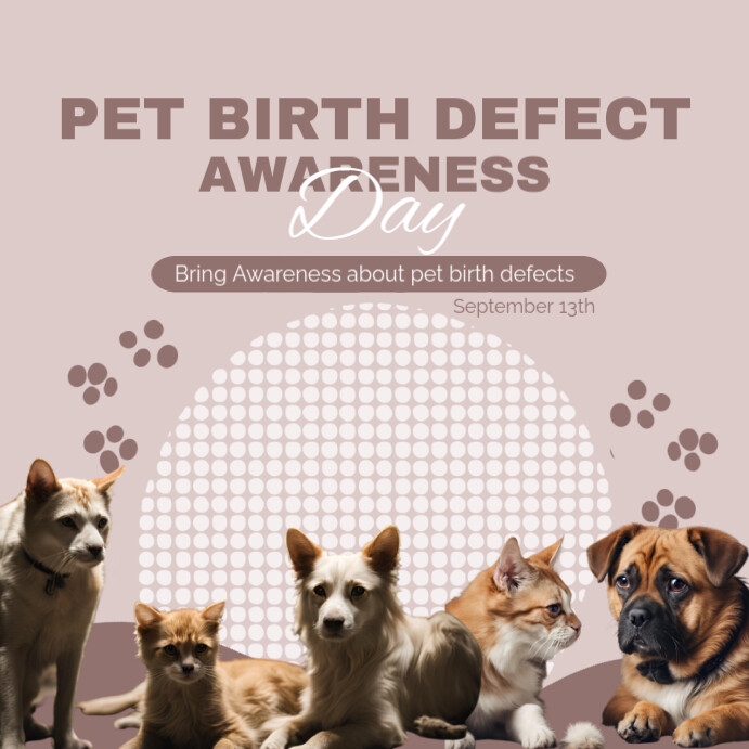 Pet Birth Defect Awareness Day Template | PosterMyWall
