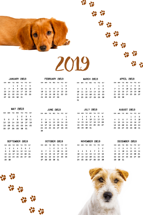 Pet Calendar 2019 Photo Template | PosterMyWall