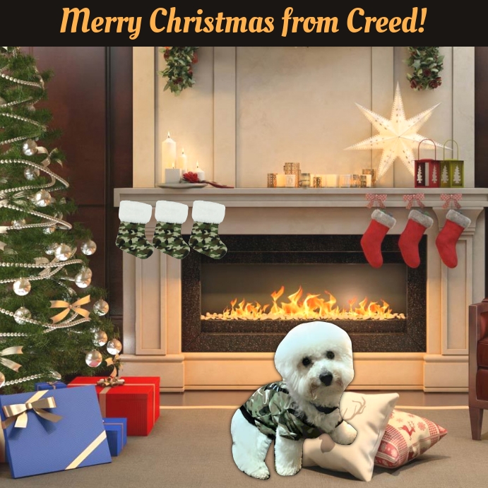 Copy of Pet Christmas Card Template | PosterMyWall