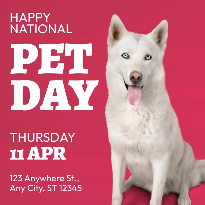 Modèle Pet Day Ads | PosterMyWall