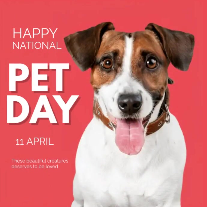 PET DAY Template | PosterMyWall
