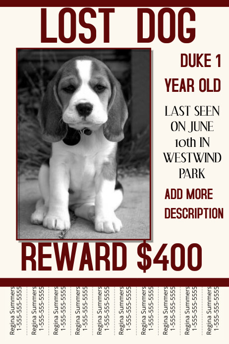 Pet Flyer Template | PosterMyWall