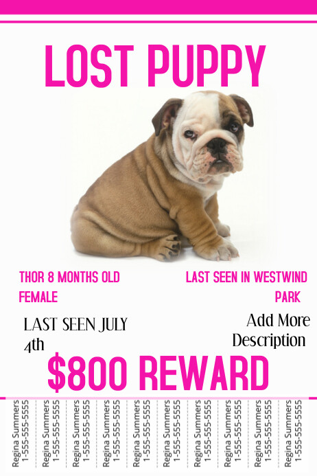 Pet Flyer Template | PosterMyWall