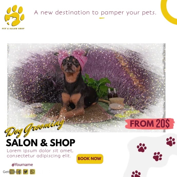 pet grooming Template | PosterMyWall