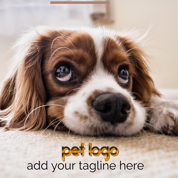 pet logo Template | PosterMyWall