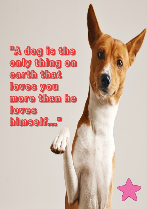 Pet lover Template | PosterMyWall