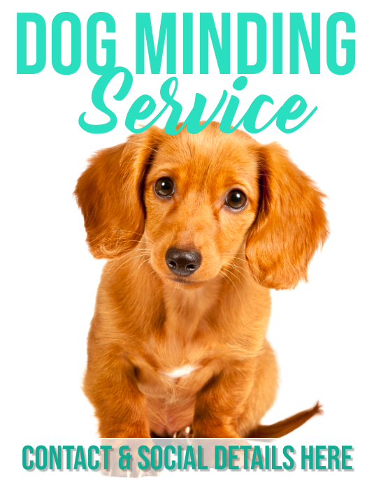 pet minding Template | PosterMyWall