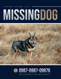 Make a Missing Pet Flyer for Free | PosterMyWall