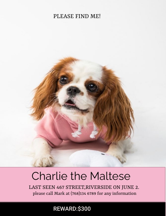pet poster Template | PosterMyWall