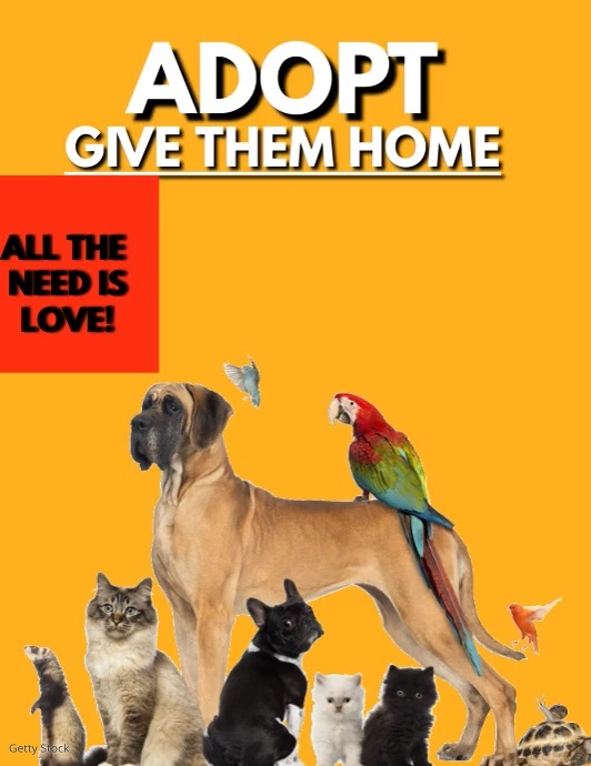 PET POSTER TEMPLATE.E (1) | PosterMyWall