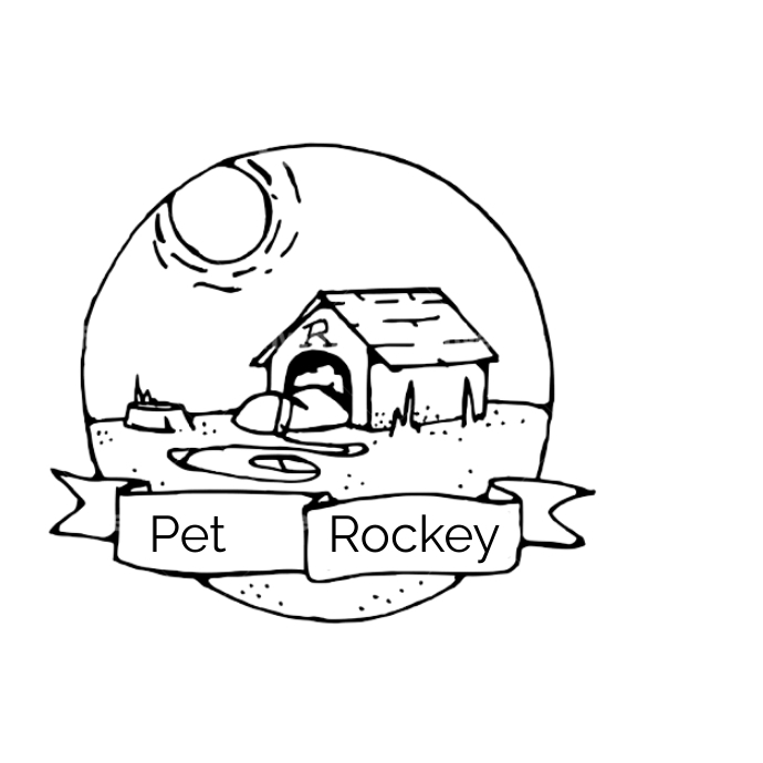 Pet rock Template | PosterMyWall
