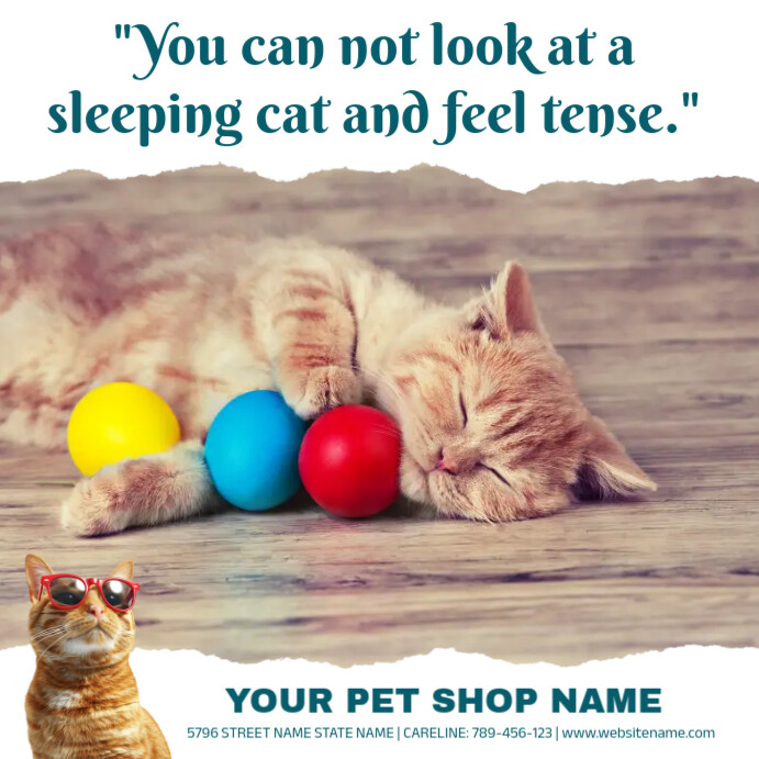 Pet Shop Cat Quote Template | PosterMyWall