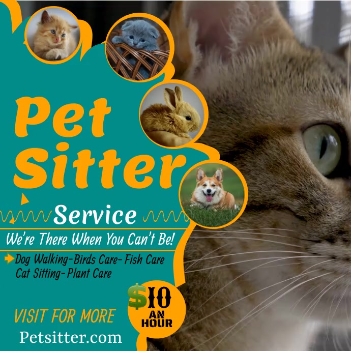 Copy of pet sitter | PosterMyWall
