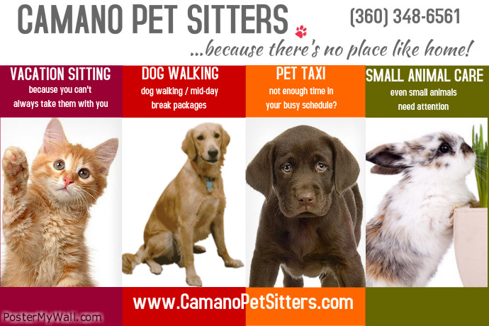 Pet Sitter Poster Template PosterMyWall pet-sitter-poster-template-postermywall