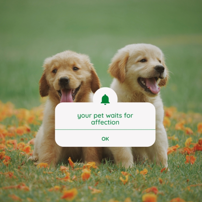 Pets Template | PosterMyWall