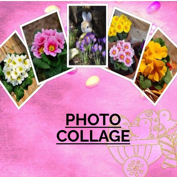 Photo collage Template | PosterMyWall