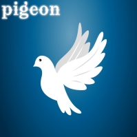 Pigeon poster Template | PosterMyWall