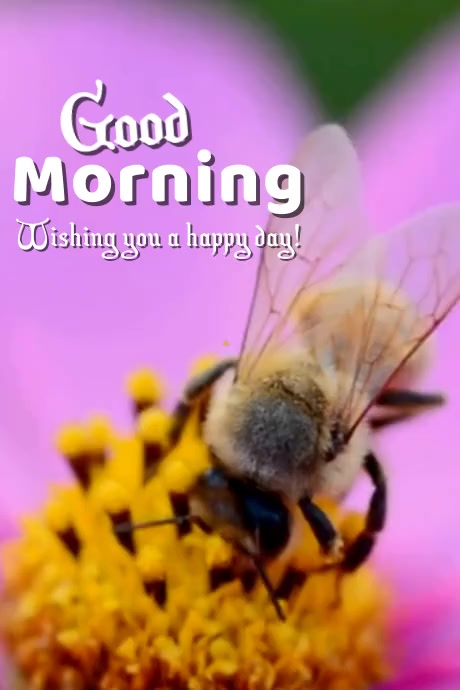 Pink Pastel Good Morning Banner 4' × 6' Template | PosterMyWall