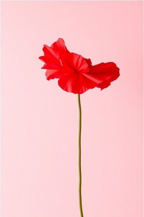 Modèle Pink Pastel Red Flower Poster | PosterMyWall